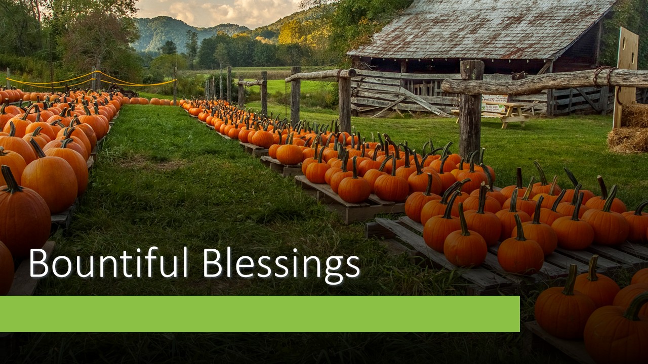 Bountiful Blessings | Parkerville Baptist Church